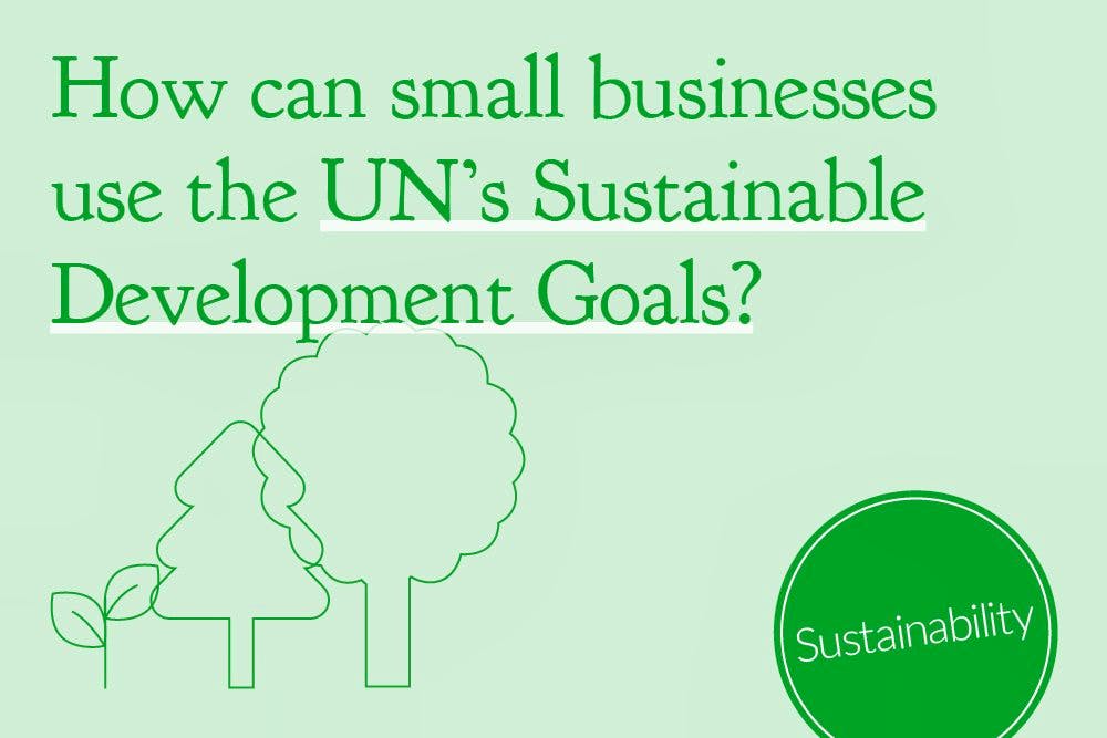 How Small Businesses Can Use the UN's SDGs | Examples