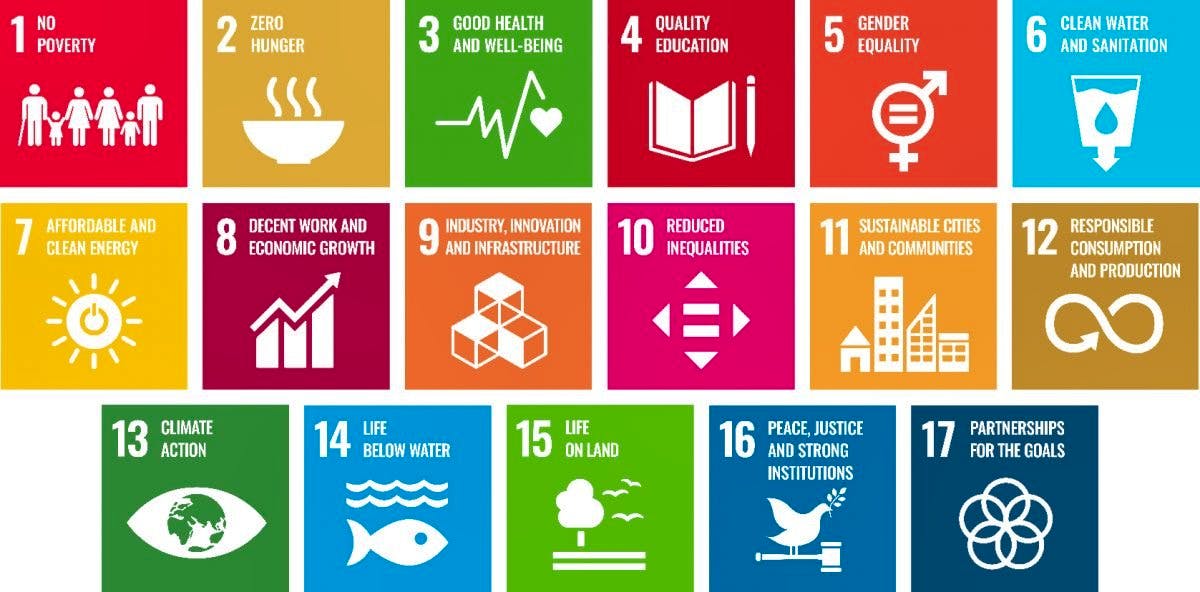 How Small Businesses Can Use the UN's SDGs | Examples